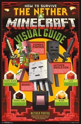MINECRAFT NETHER 22x34 VIDEO GAME 16399